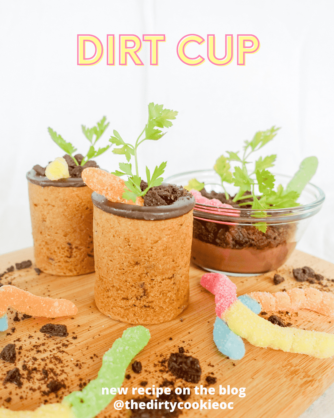 Dirt Cup Recipe | Dirty Cookie